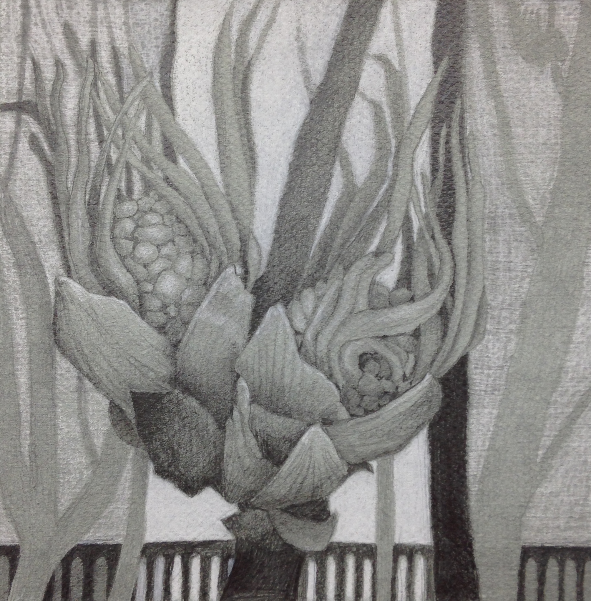 Weekly Drawings/ Year 1 | Judith Bergerson / JackPine Studio