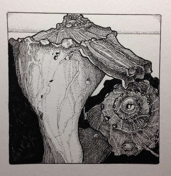 Weekly Drawings/ Year 1 | Judith Bergerson / JackPine Studio