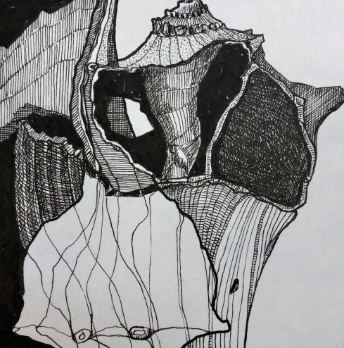 Small Drawings | Judith Bergerson / JackPine Studio