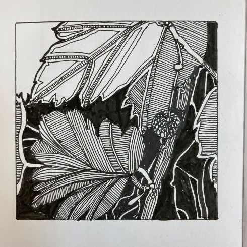 Drawing | Judith Bergerson / JackPine Studio