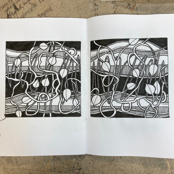 Drawing | Judith Bergerson / JackPine Studio