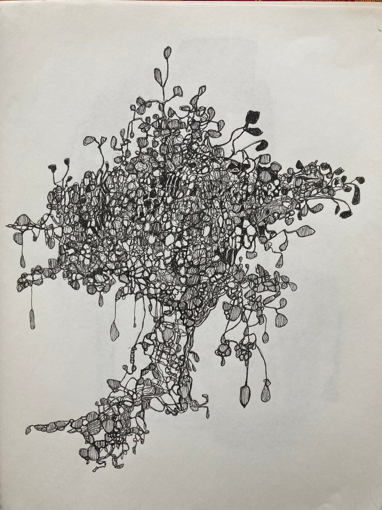 Drawing | Judith Bergerson / JackPine Studio