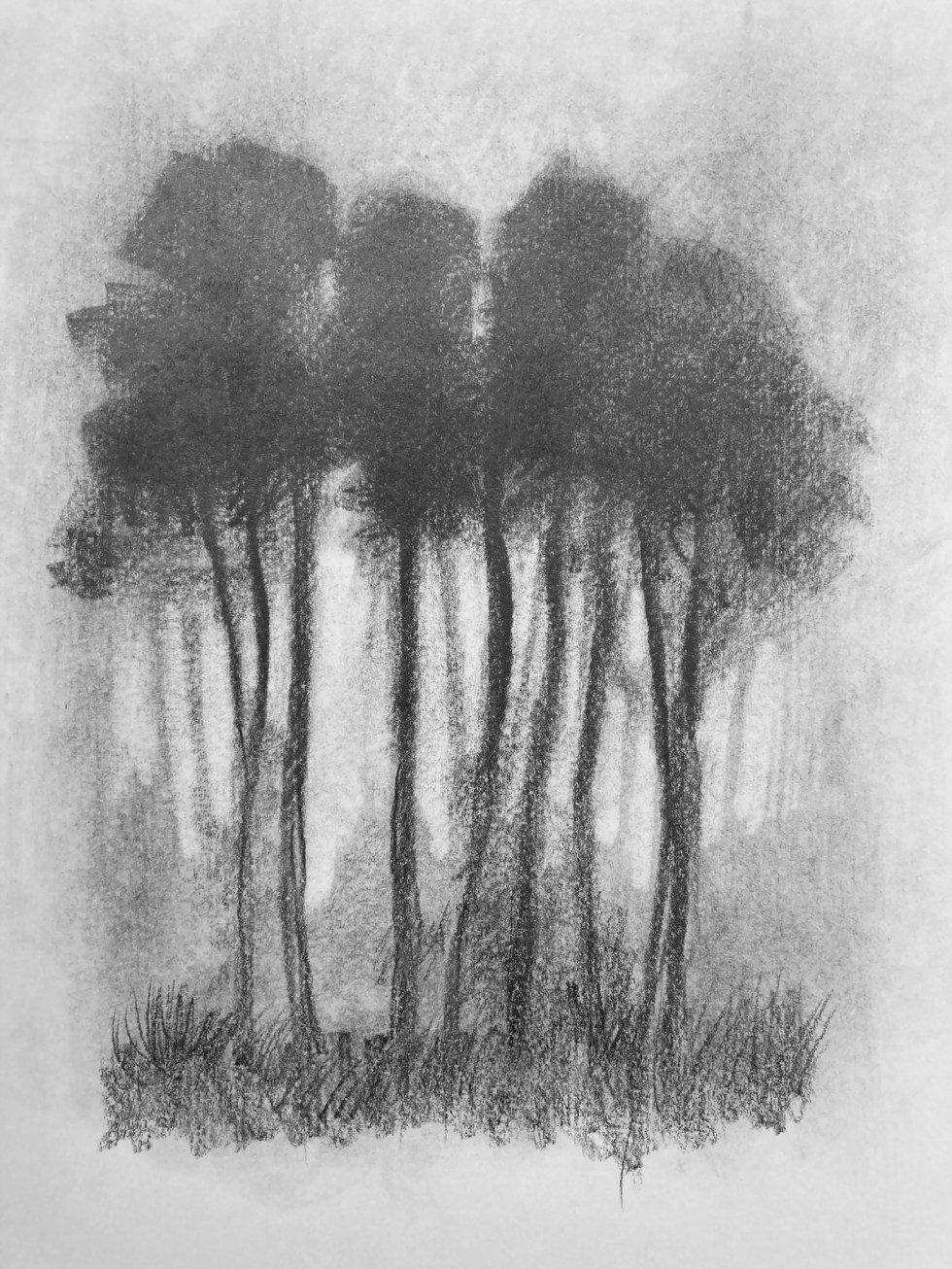 Drawing | Judith Bergerson / JackPine Studio