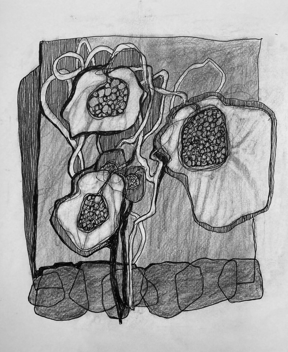 Drawing | Judith Bergerson / JackPine Studio