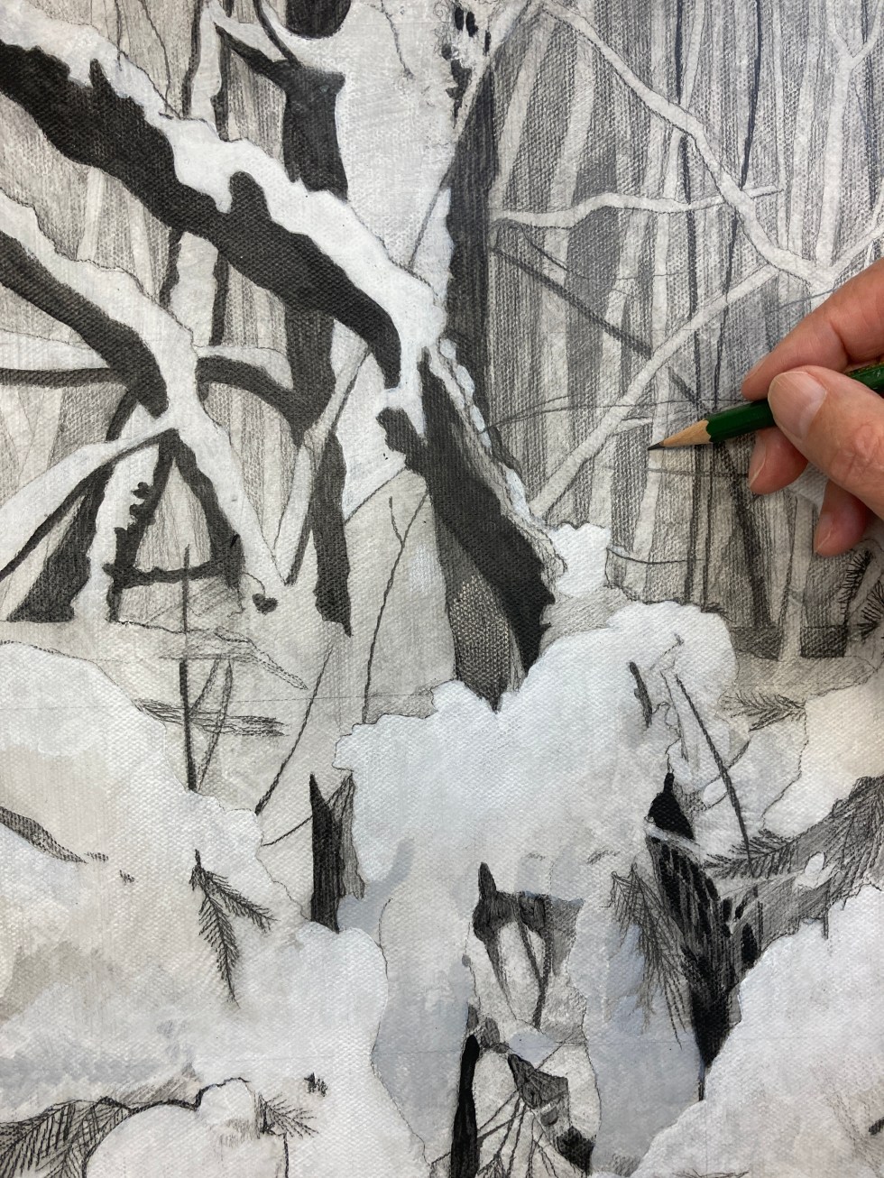 Drawing | Judith Bergerson / JackPine Studio